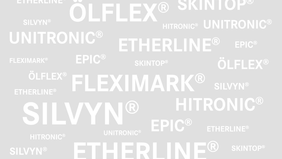 Strong growth at LAPP in difficult times – Lapp Portugal